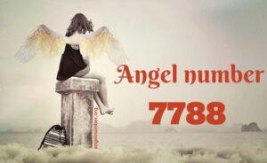 7788 Angel Number – Meaning and Twin Flame